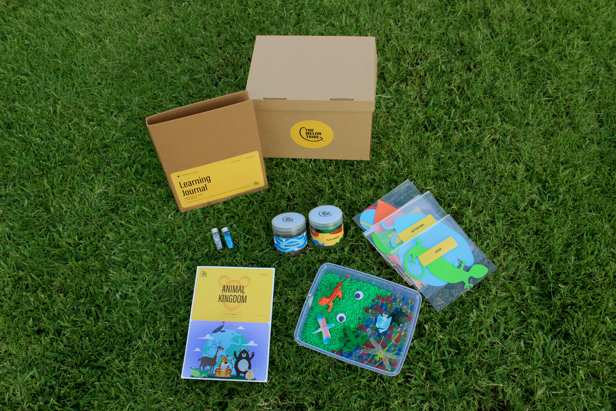 Animal Kingdom Box — ItsHerWay.com